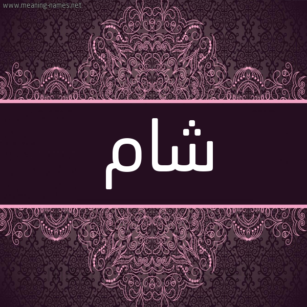 معنى اسم شام | قاموس الأسماء و المعاني