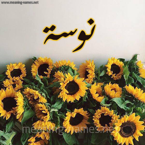 معنى اسم نوسة Nosa | قاموس الأسماء و المعاني